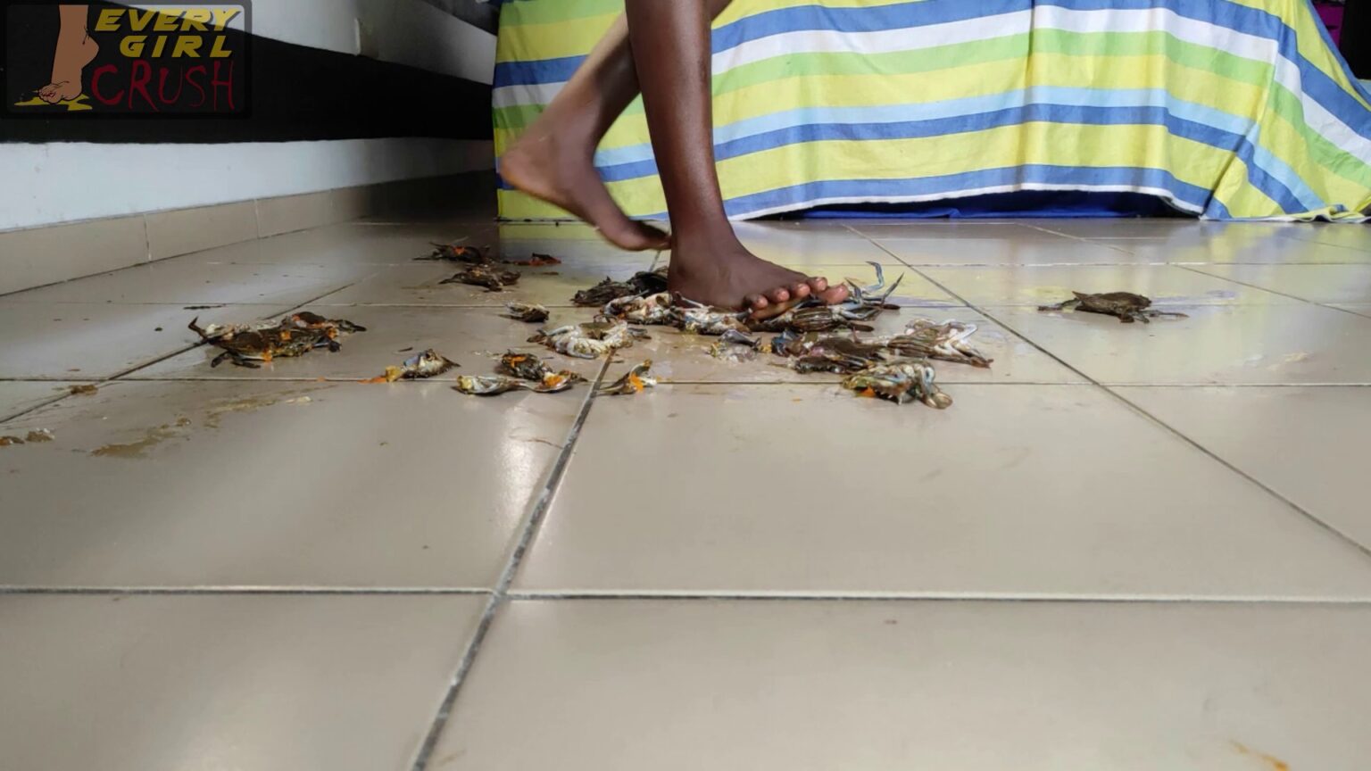 Crabs - EVERYGIRL CRUSH