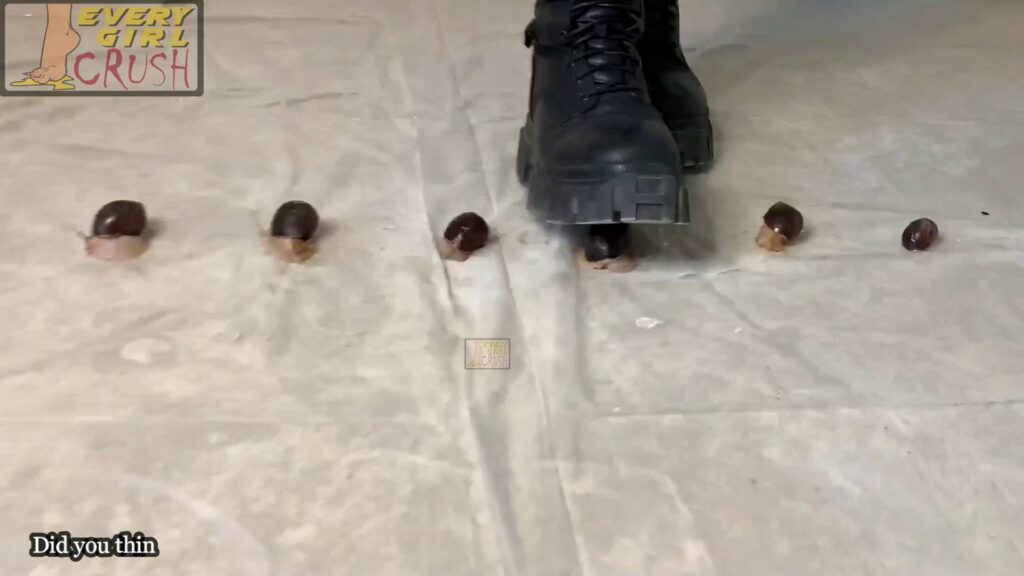 stepping on snails - EVERYGIRL CRUSH