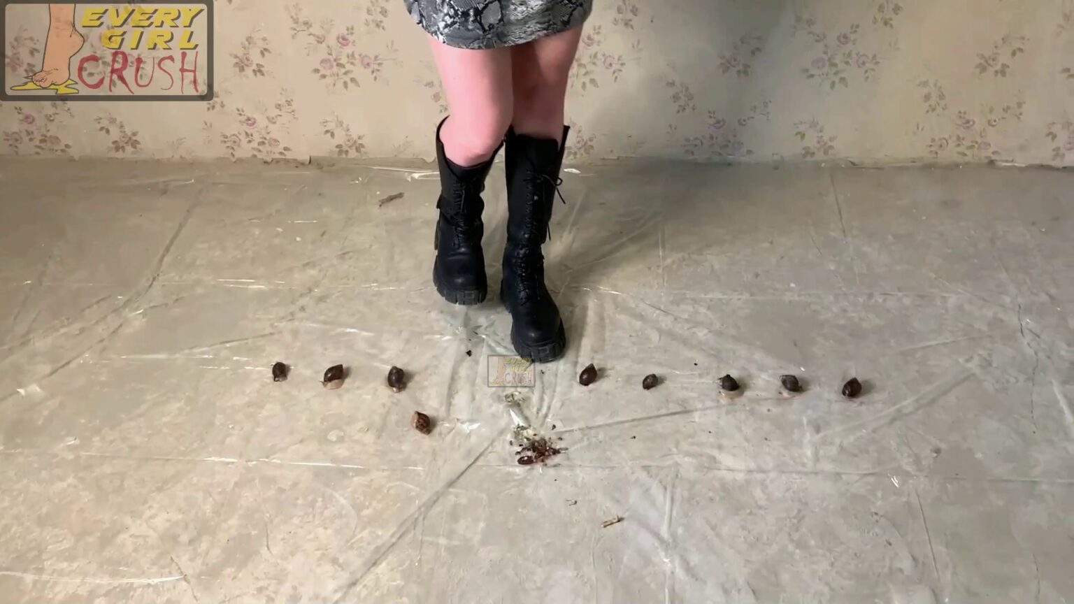 QZIQJR – Dawn Snail Challenge - EVERYGIRL CRUSH