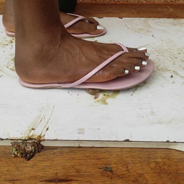 Candy Steps on Snails Barefoot - EVERYGIRL CRUSH