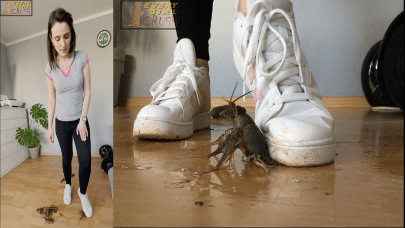 Oksana Squishy Fishy - EVERYGIRL CRUSH