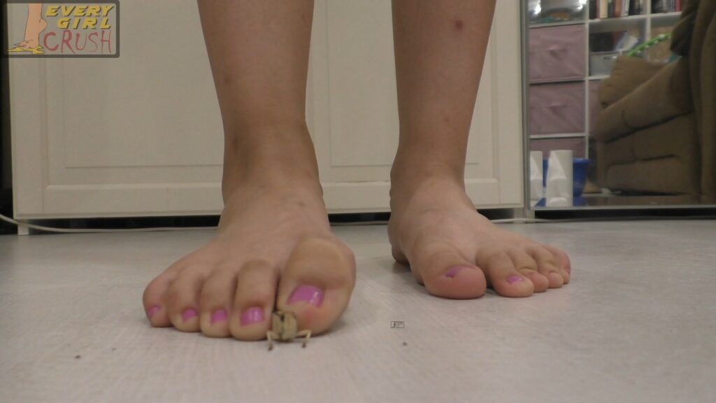 Cockroaches - EVERYGIRL CRUSH