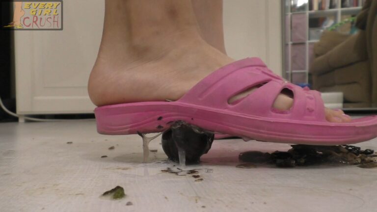 Claire Barefoot Various insects crush - EVERYGIRL CRUSH