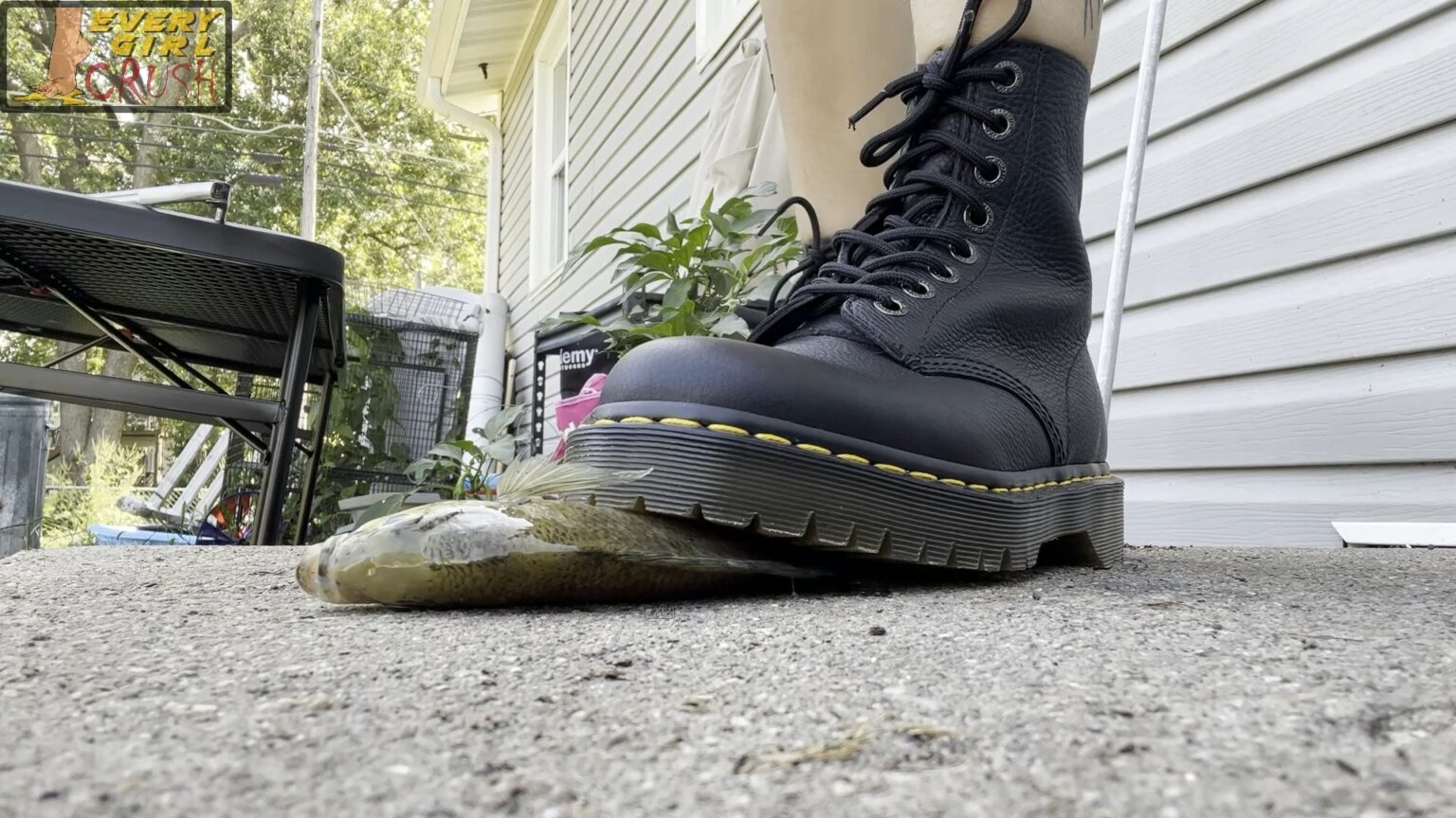 Claire Barefoot Various insects crush - EVERYGIRL CRUSH