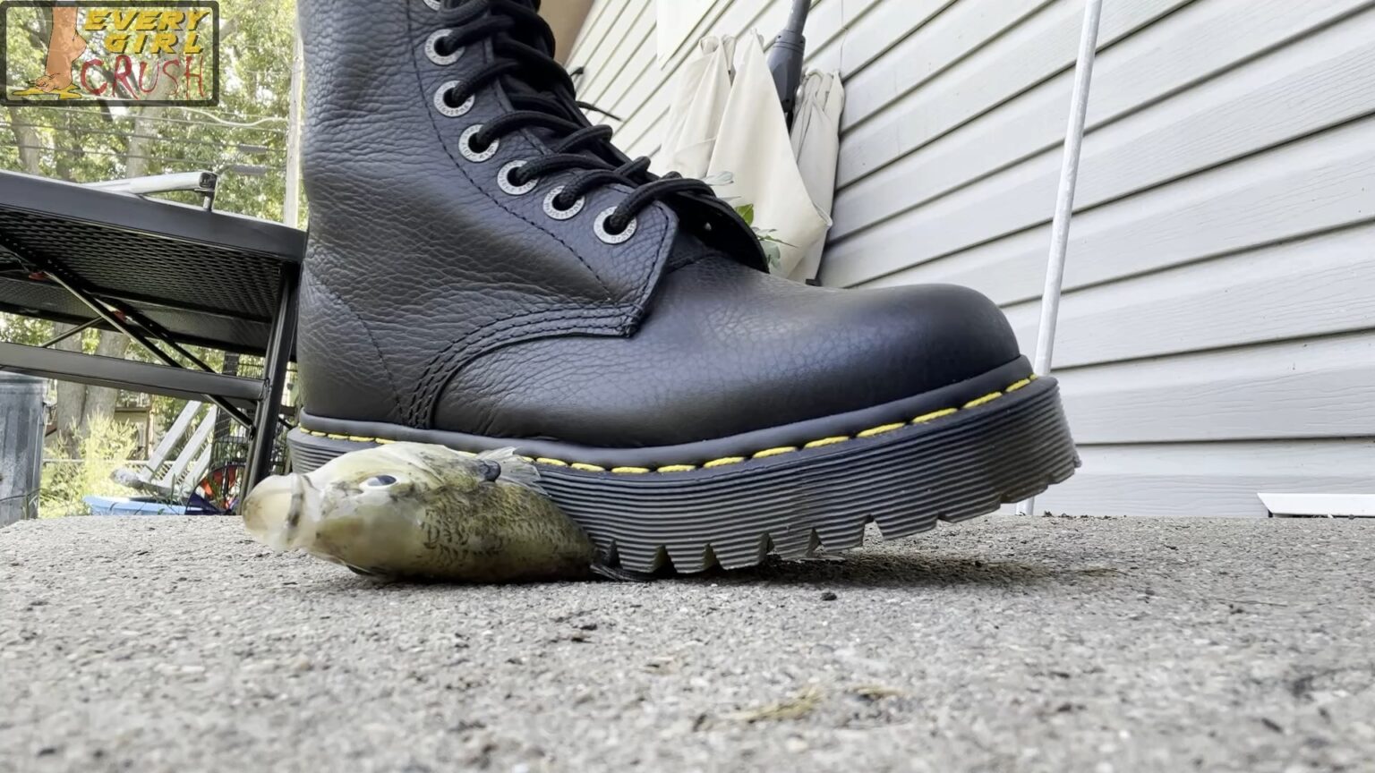 Boots - EVERYGIRL CRUSH