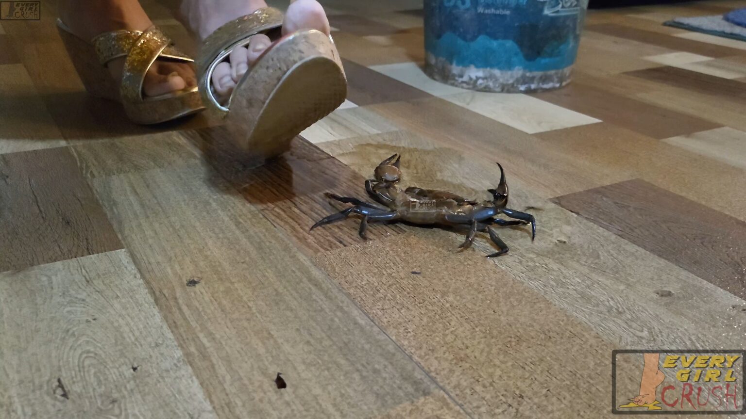 Alima Wedges Crab Crush - EVERYGIRL CRUSH