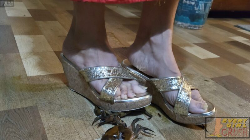 Shop - EVERYGIRL CRUSH